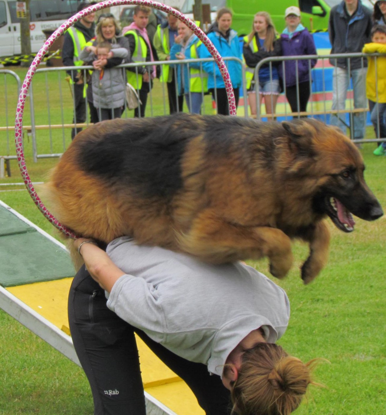 West Lancs Dog Display Team